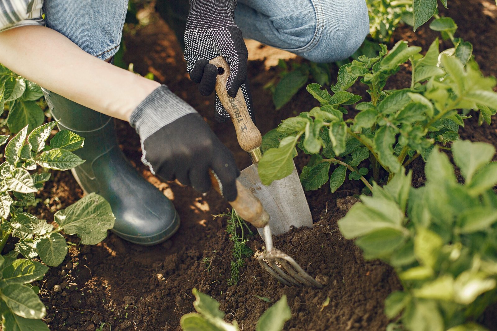 10 Benefits of Ergonomic Garden Tools